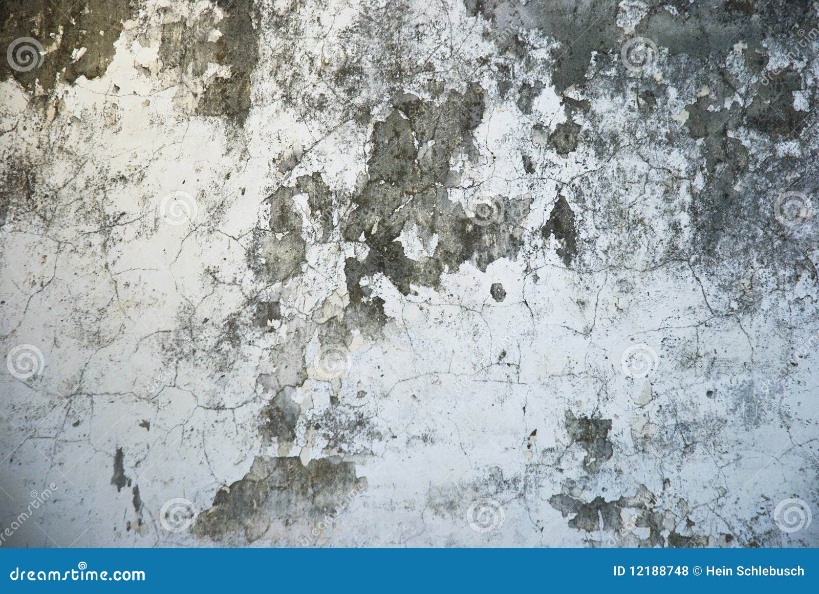 Grungy wall texture stock photo. Image of revival, grunge - 12188748