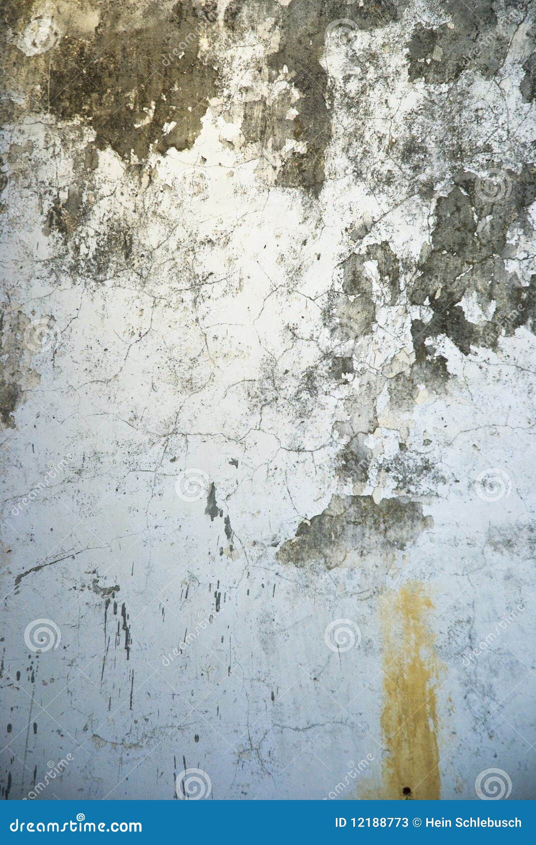 Grungy wall texture stock image. Image of abandoned, pattern - 12188773
