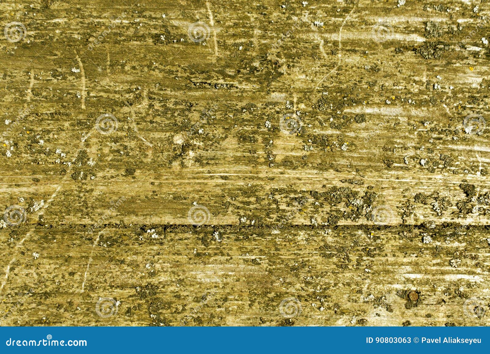 Grungy Wooden Borad Surface with Moss. Stock Image - Image of stained ...