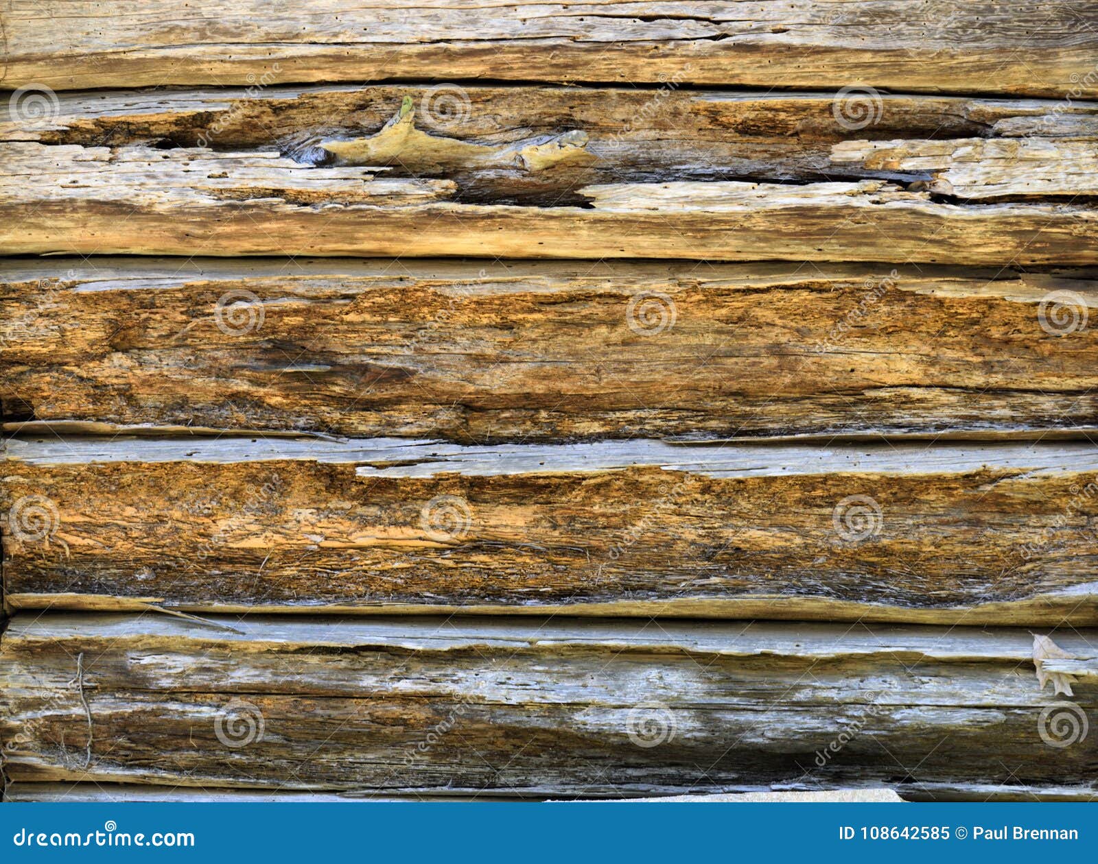 Grungy Wooden Panelling stock image. Image of textured - 108642585