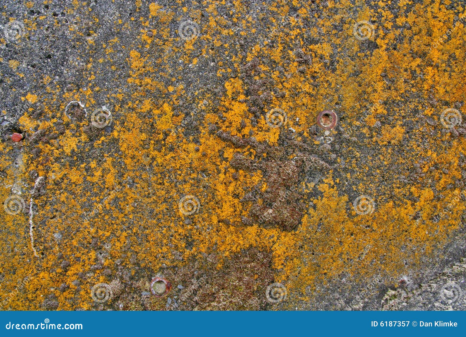 Grungy Yellow Mold Background Stock Image - Image of dirty, grow: 6187357