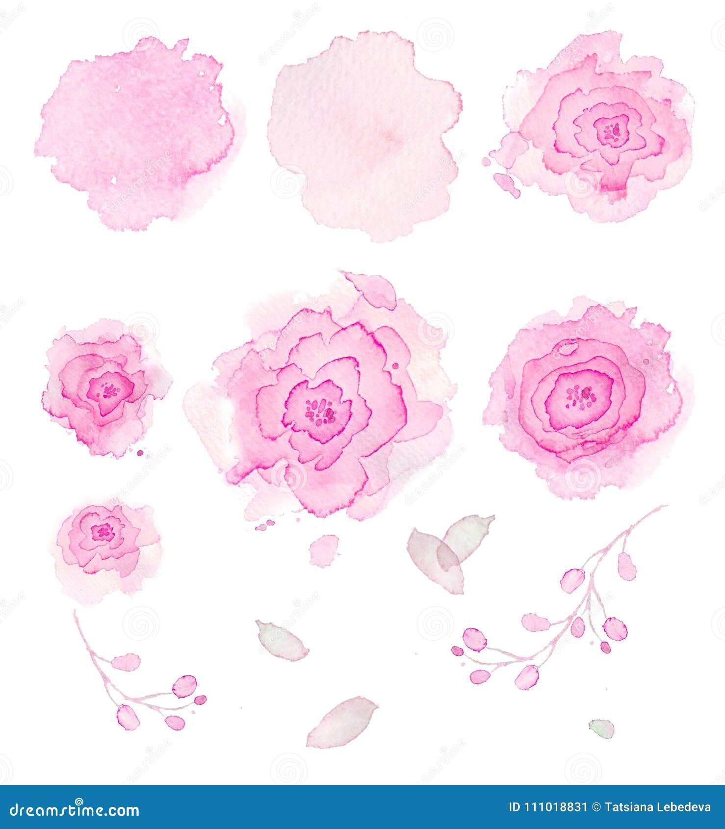 Grupo Da Aquarela Das Rosas Ilustração Stock - Ilustração de textura ...