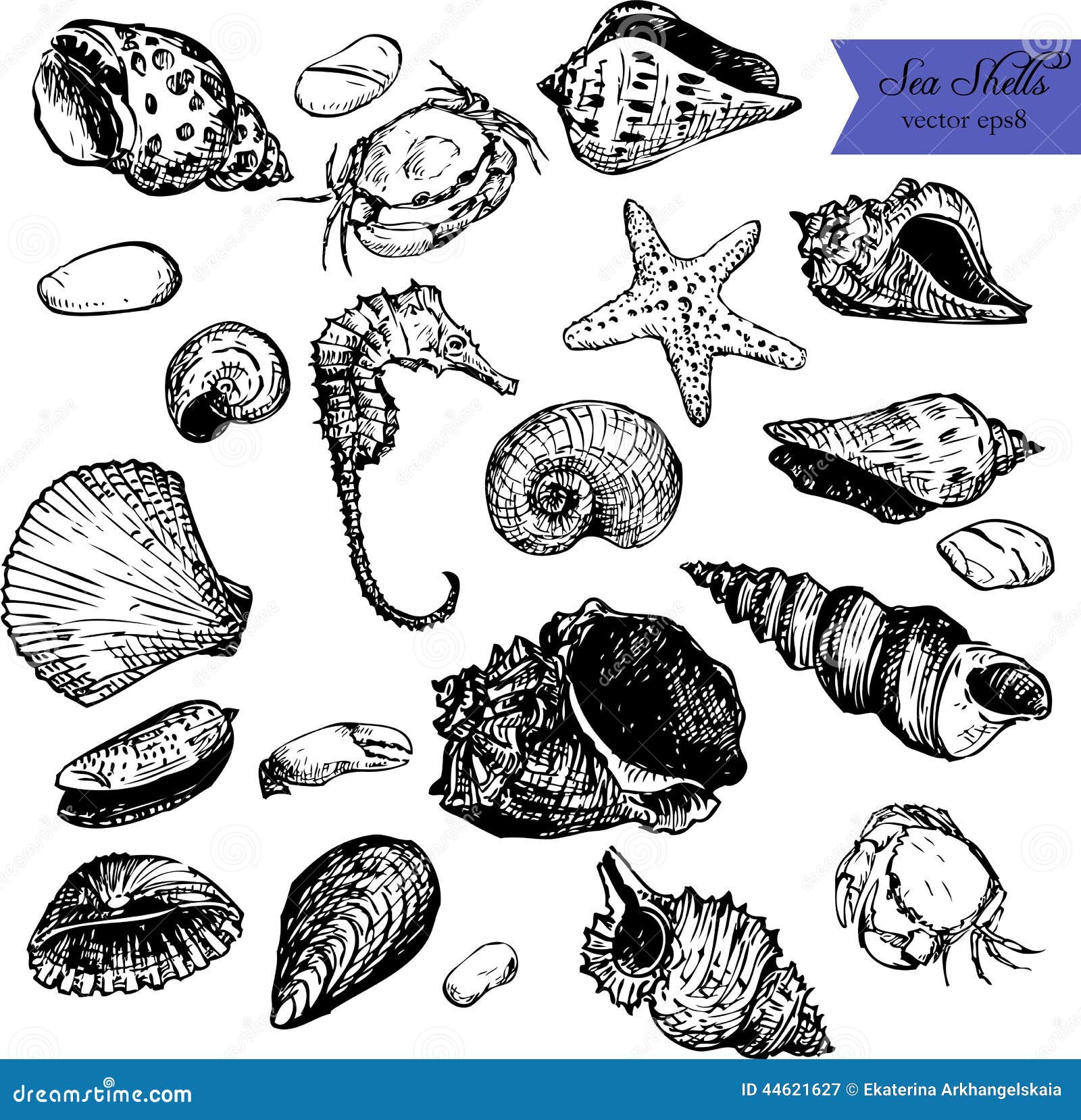 Grupo Da Lápis Shell Do Desenho Ilustração do Vetor - Ilustração de ...