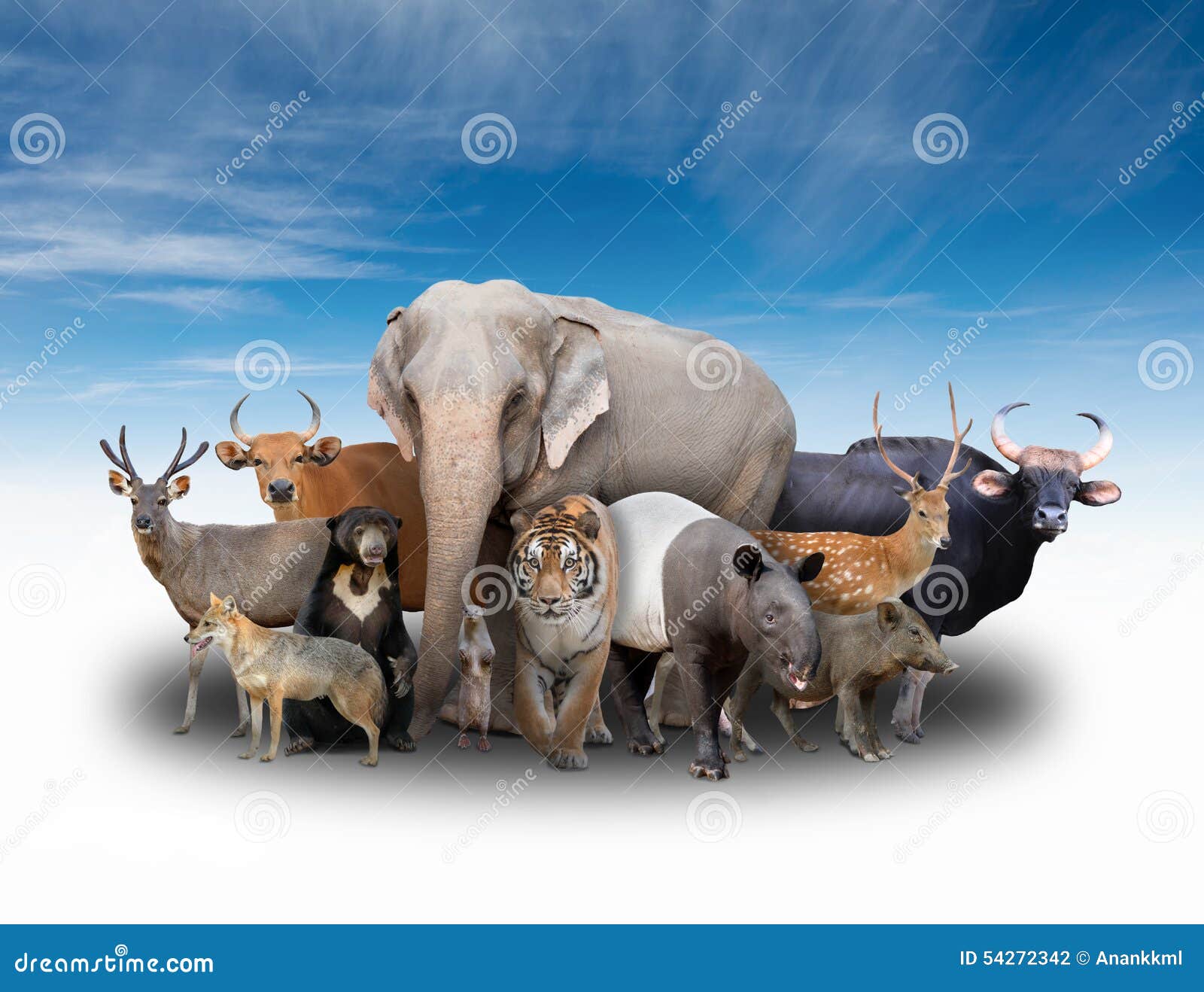 Grupo de animales de Asia foto de archivo. Imagen de nutria - 54272342