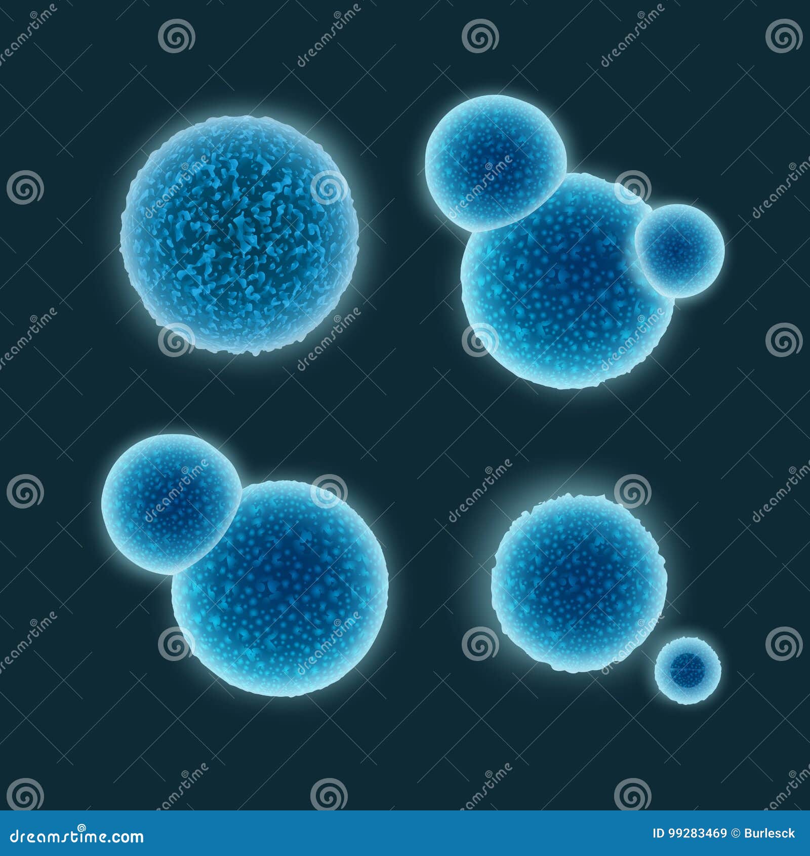 Grupo De Bactérias Dos Cocos Ilustração do Vetor - Ilustração de cocos ...