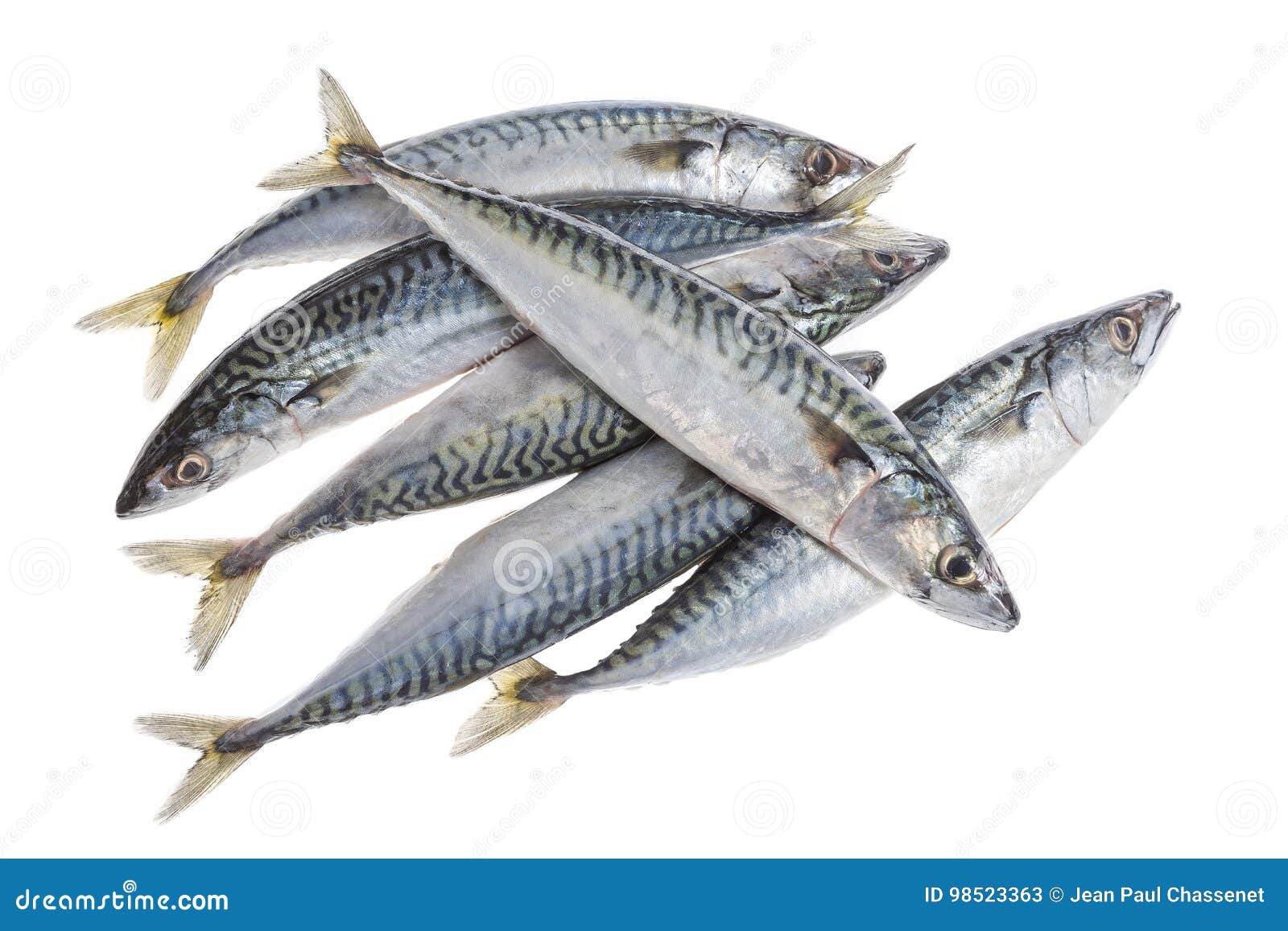 Grupo de cavala dos peixes imagem de stock. Imagem de peixe - 98523363