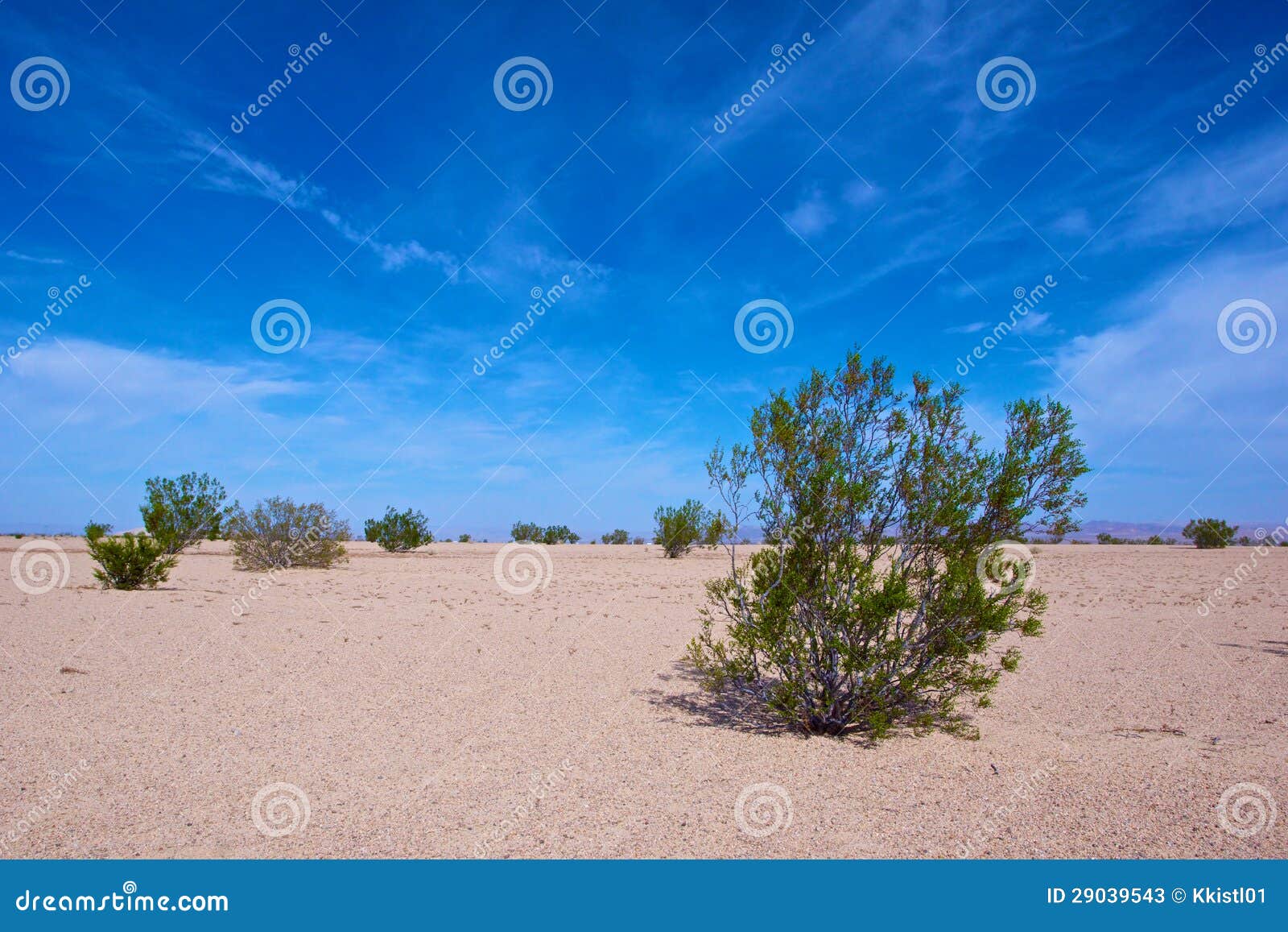 Grupo de creosota imagen de archivo. Imagen de creosota - 29039543