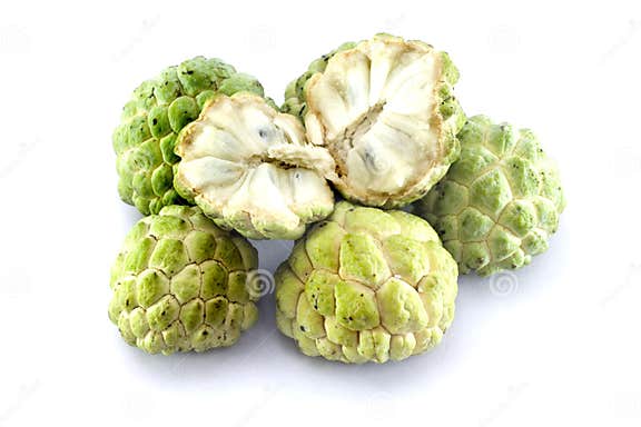 Grupo de las anonas. imagen de archivo. Imagen de deporte - 20793297