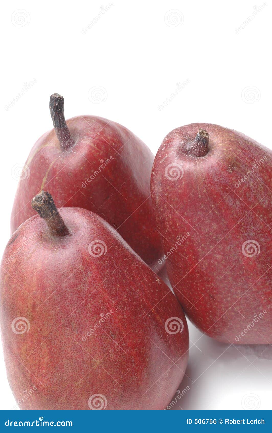 Grupo De Las Peras De Anjou Foto de archivo - Imagen de amplio ...