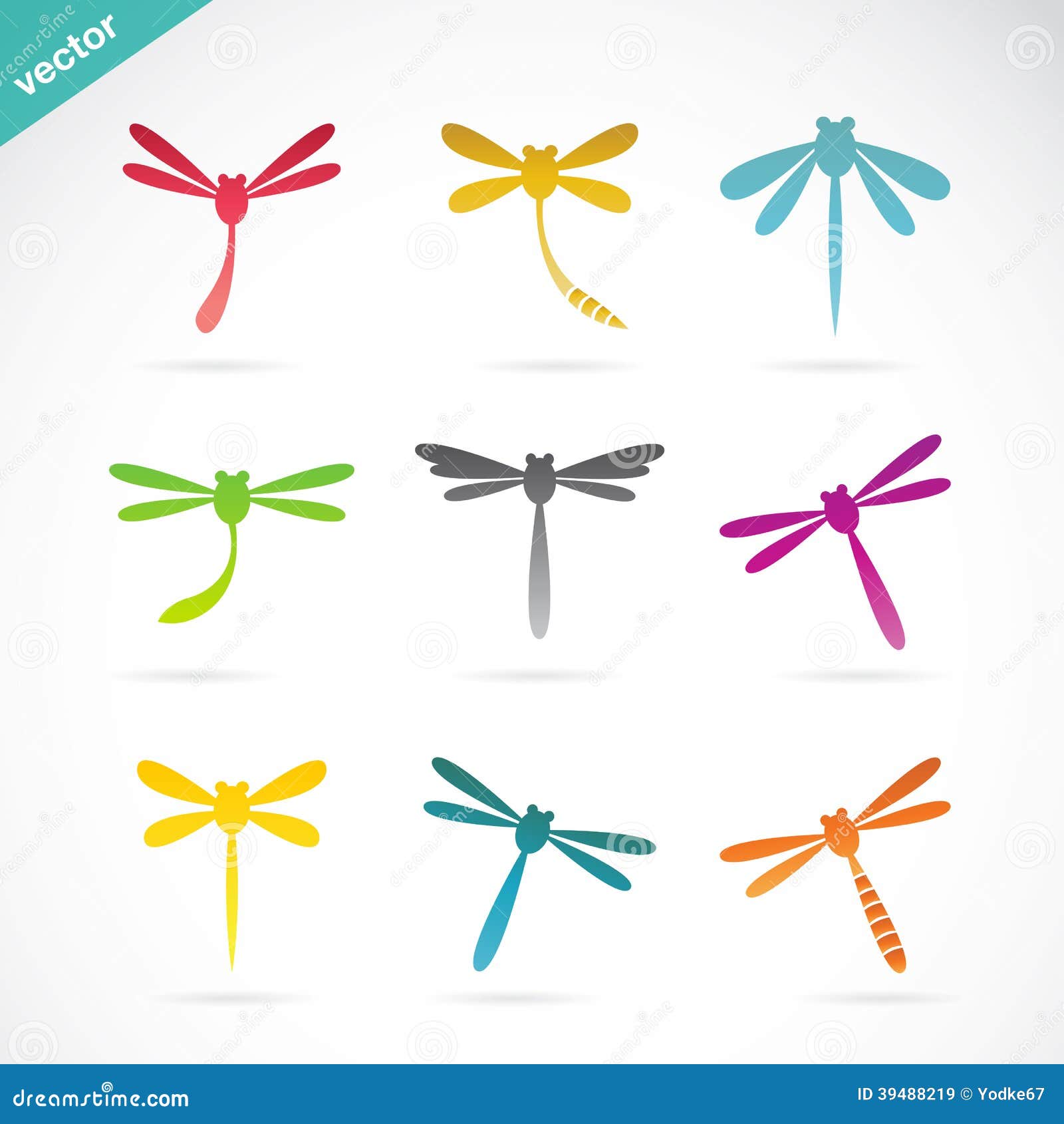Grupo Del Vector De Libélula Colorida Ilustración del Vector ...