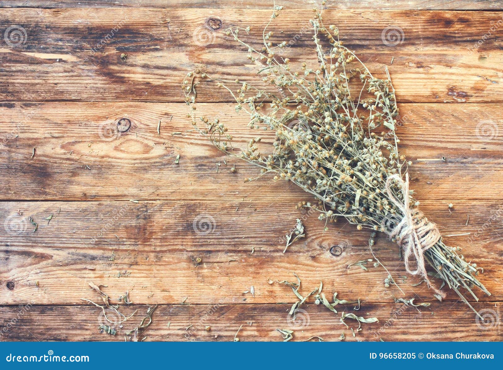 Grupo Do Absinto Seco Da Erva Amarrado Com Corda Imagem de Stock ...