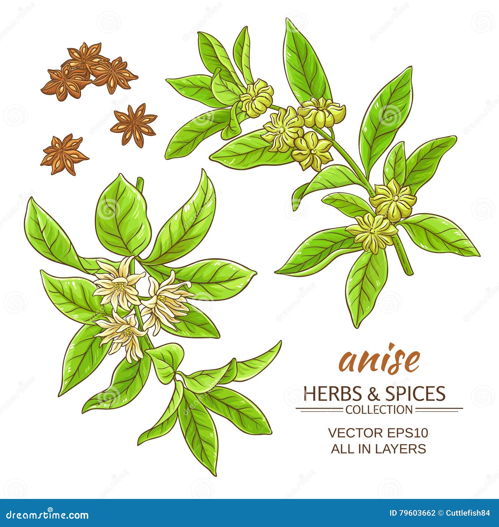 Grupo do vetor do anis ilustração do vetor. Ilustração de isolado ...