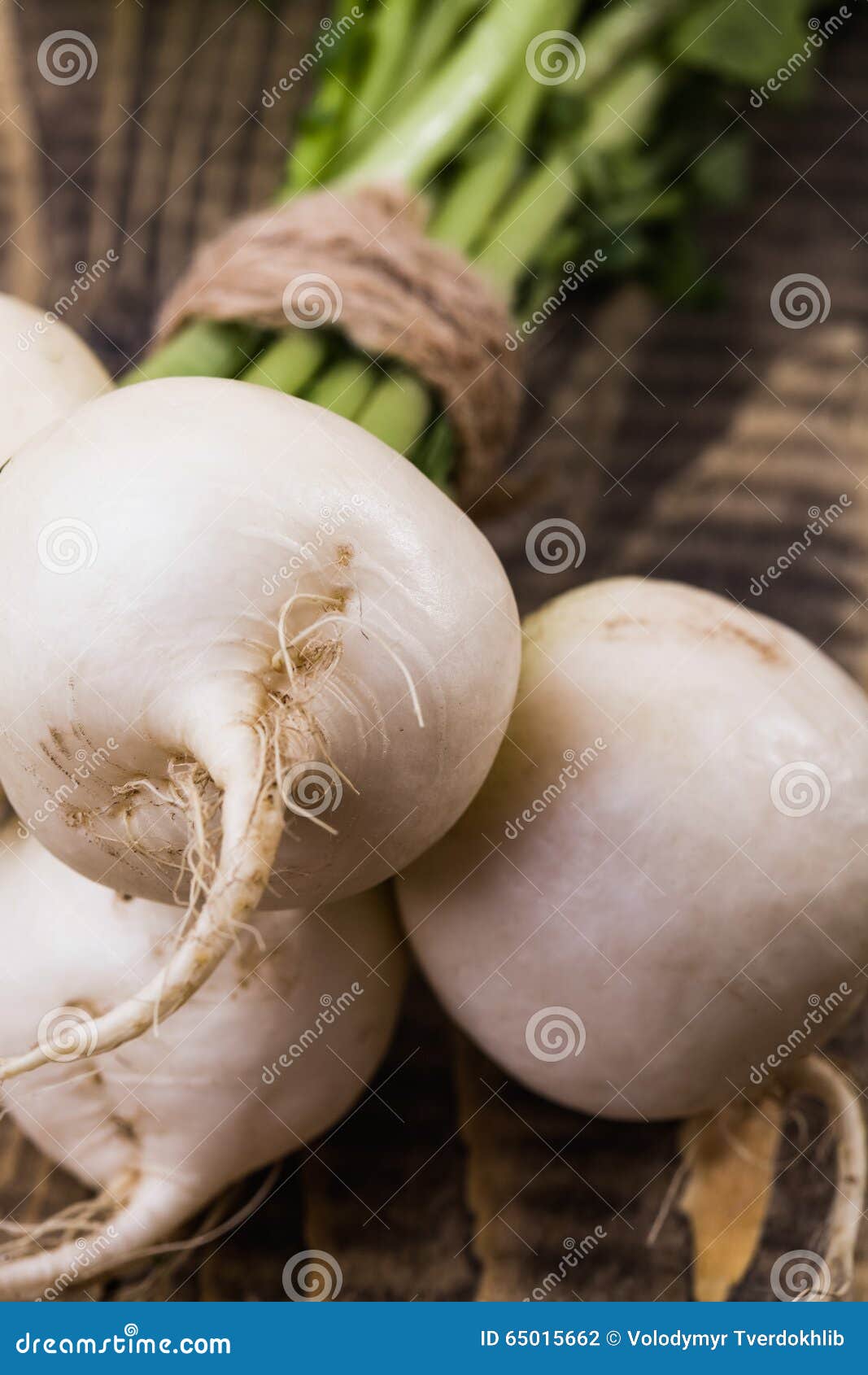 Grupo dos nabos foto de stock. Imagem de nutritivo, folhas - 65015662