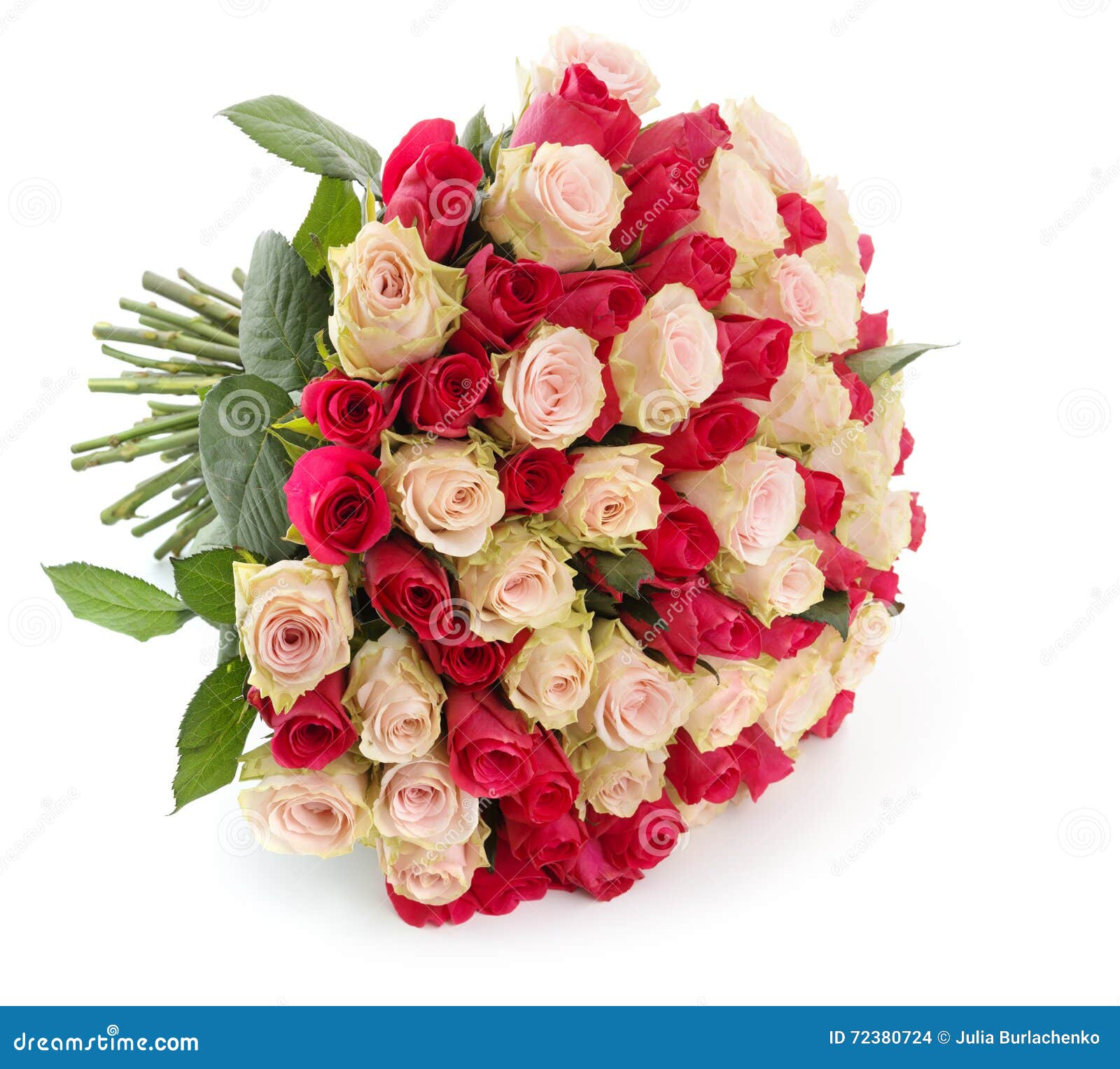 Grupo grande das rosas foto de stock. Imagem de romântico - 72380724