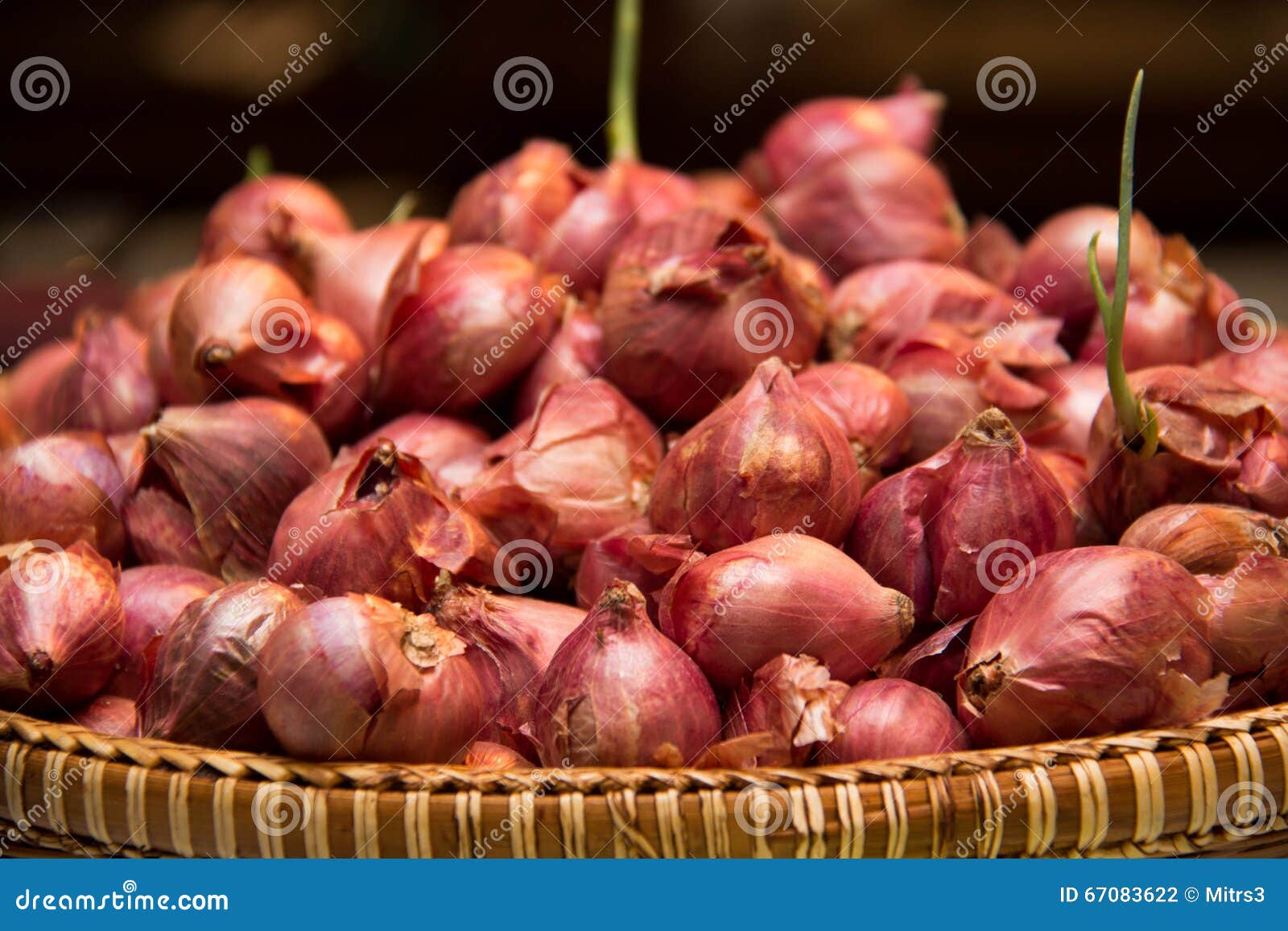 Grupo grande de chalotes foto de archivo. Imagen de rojo - 67083622