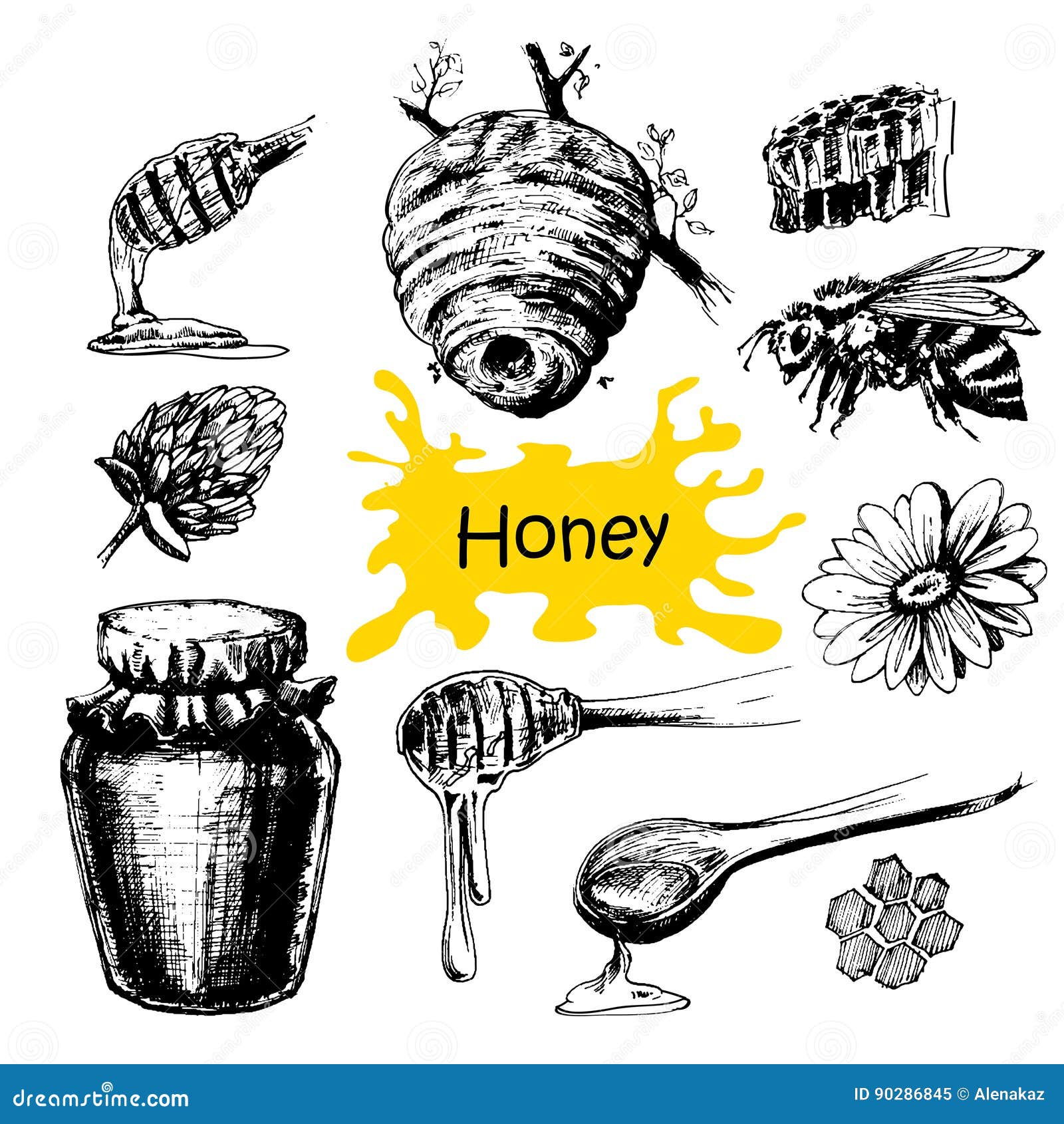 Grupo tirado mão do mel ilustração do vetor. Ilustração de floresta ...