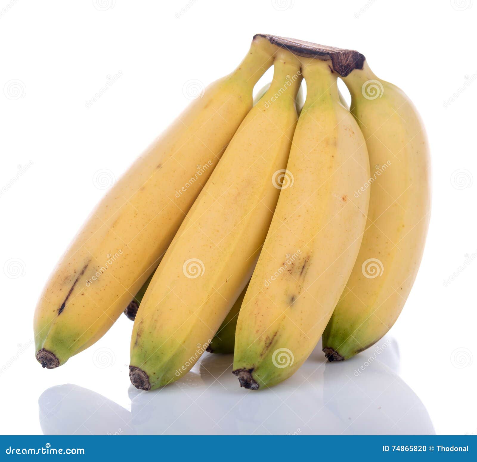 Grupp av mini- bananer arkivfoto. Bild av grupp, mini - 74865820