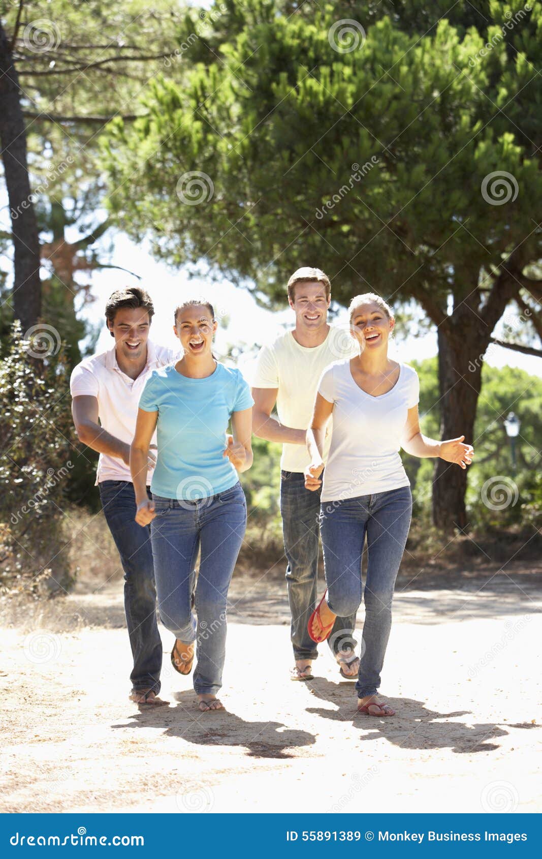 Gruppe Junge Freunde Auf Weg in Der Landschaft Stockbild - Bild von ...