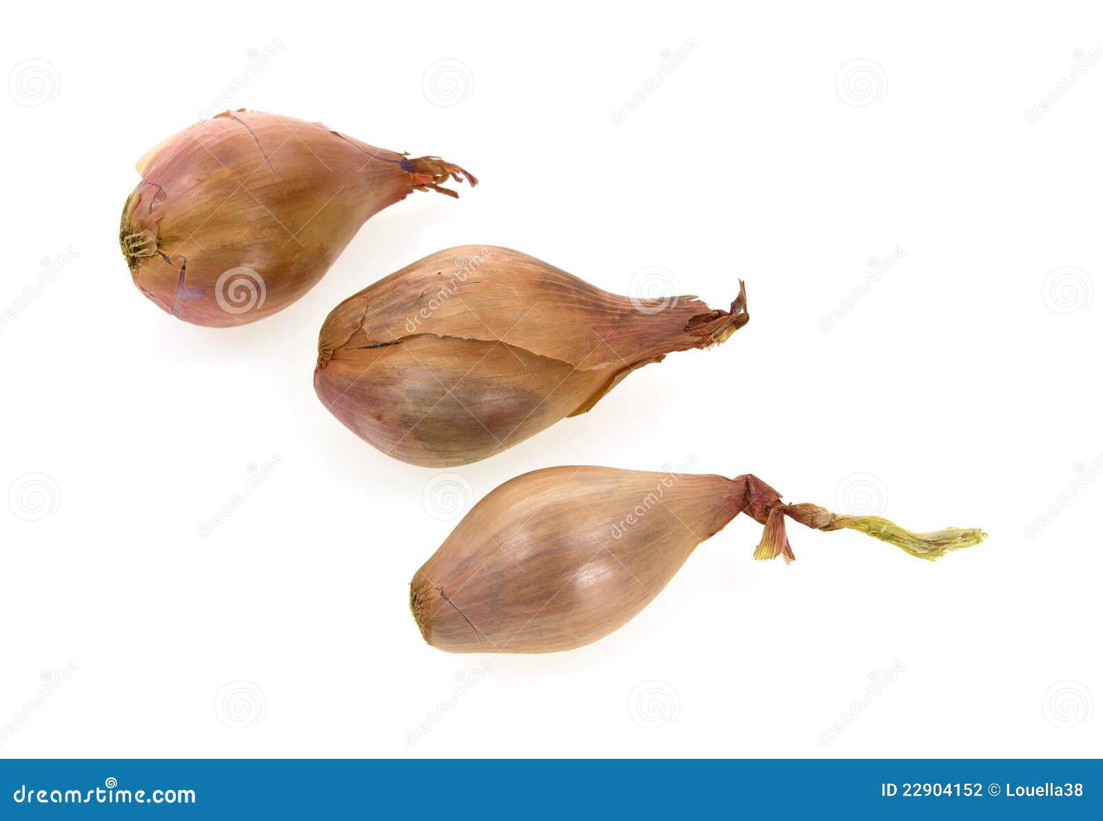 Gruppieren Sie Drei Schalotten Stockfoto - Bild von hintergrund, frisch ...