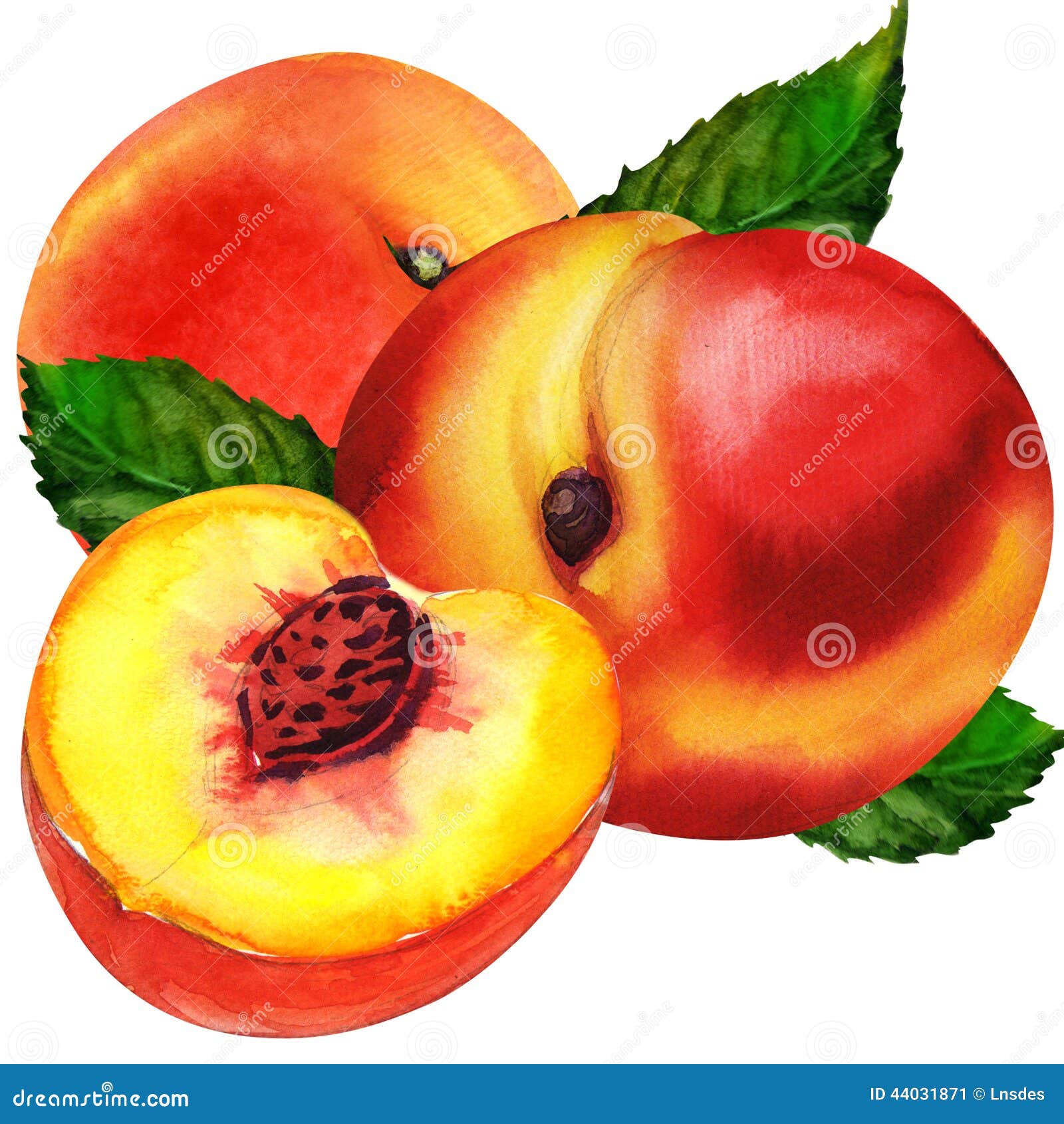 Gruppo di pesche illustrazione di stock. Illustrazione di illustrazione ...