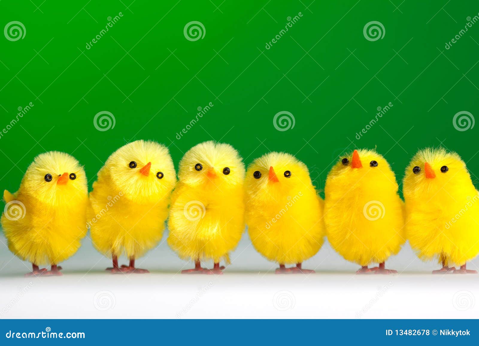 Gruppo di polli fotografia stock. Immagine di pulcino - 13482678