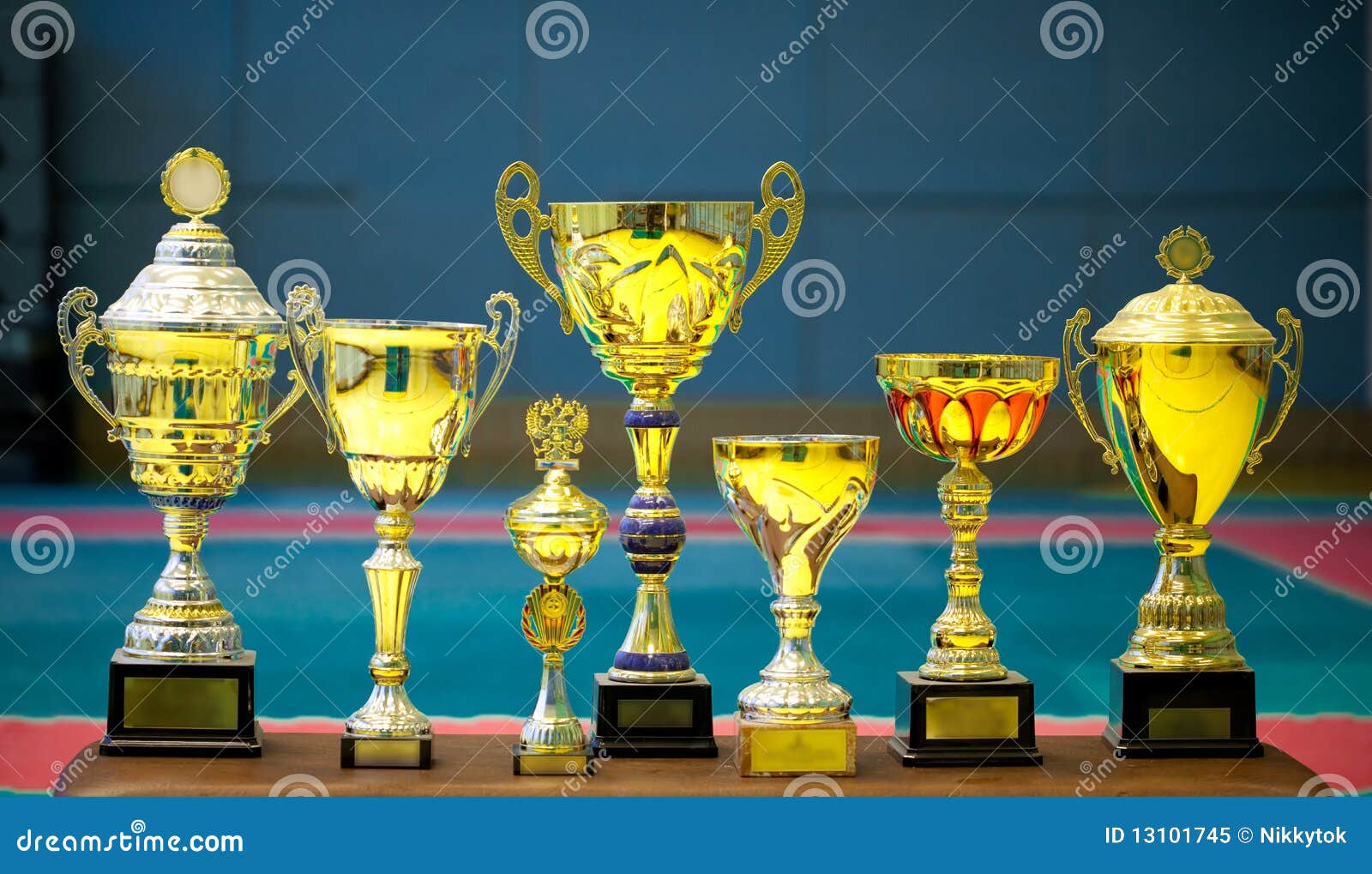 Gruppo di trofei immagine stock. Immagine di onorare - 13101745