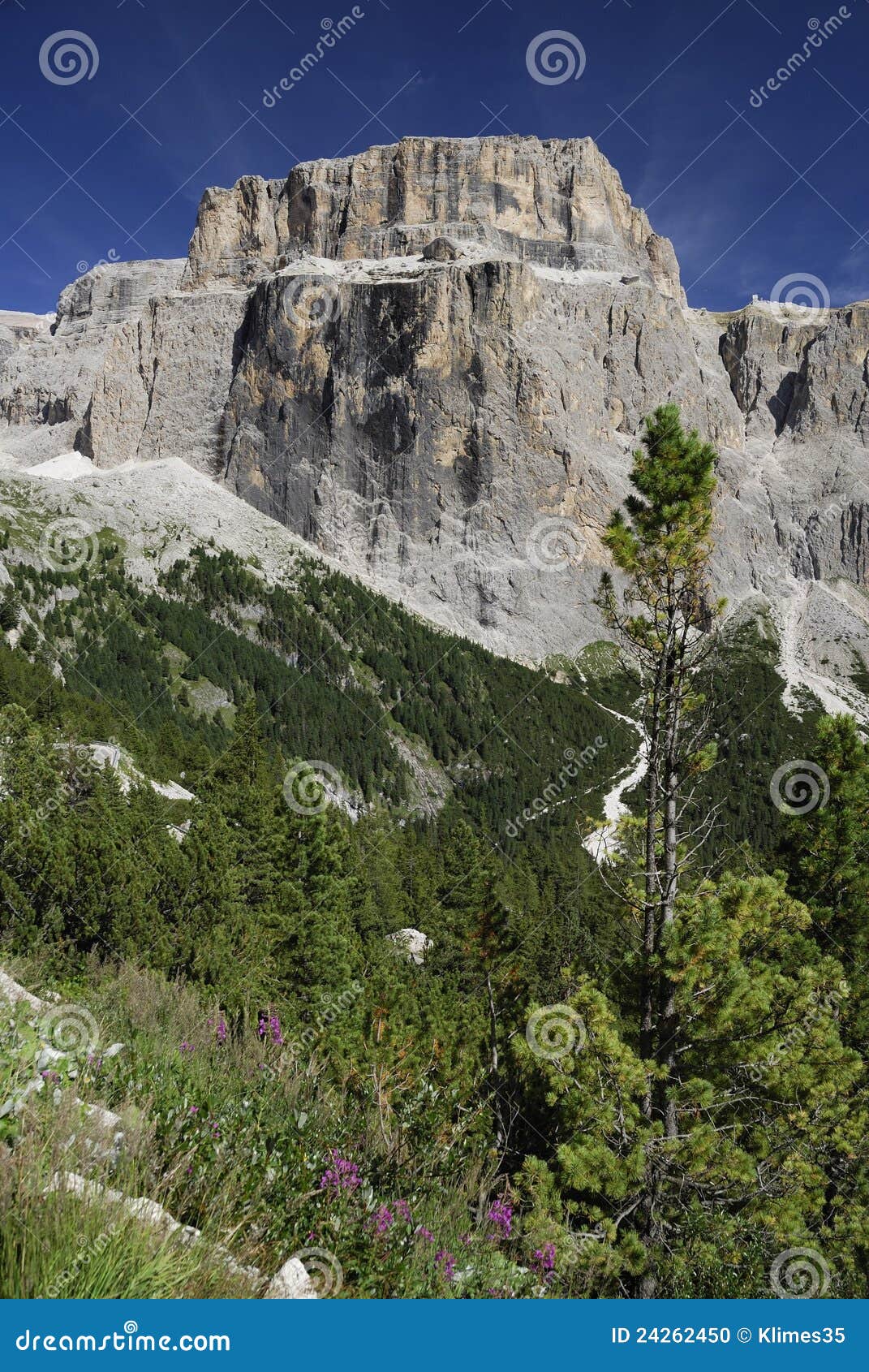 Gruppo Sella stock photo. Image of trees, panorama, sella - 24262450