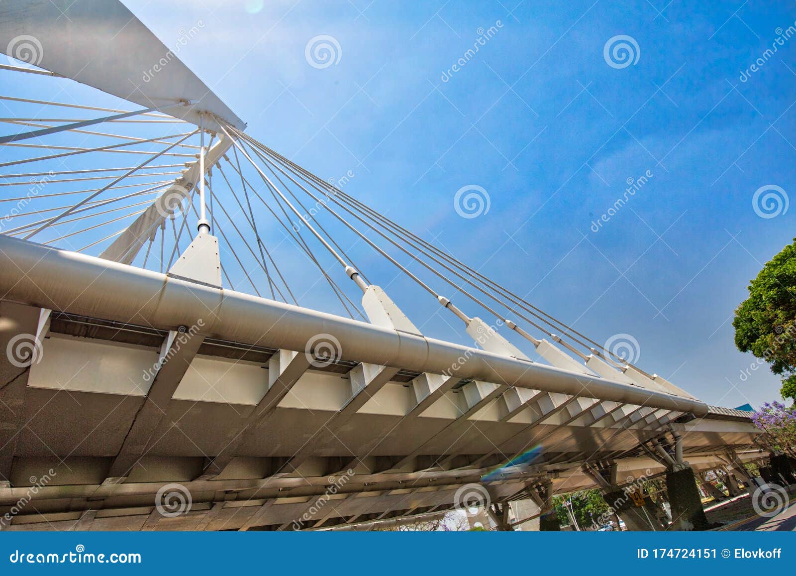 Guadalajara, Mexico, Matute Remus Bridge Editorial Photo - Image of ...