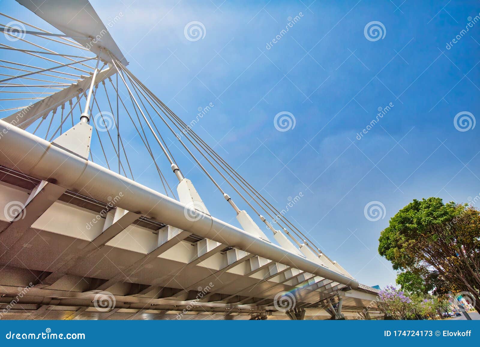 Guadalajara, Mexico, Matute Remus Bridge Editorial Stock Photo - Image ...