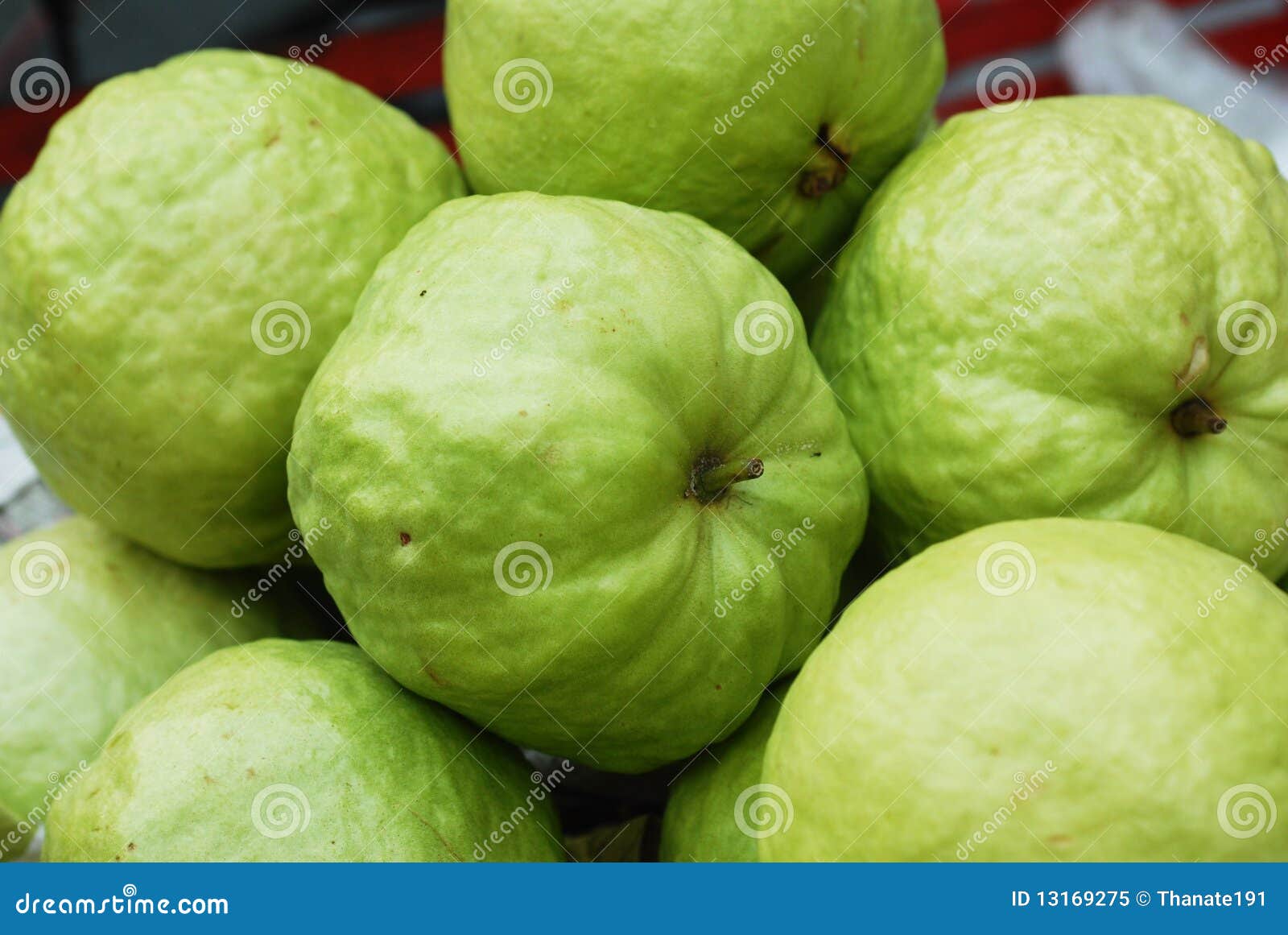 Guaiava immagine stock. Immagine di fresco, verde, alimento - 13169275