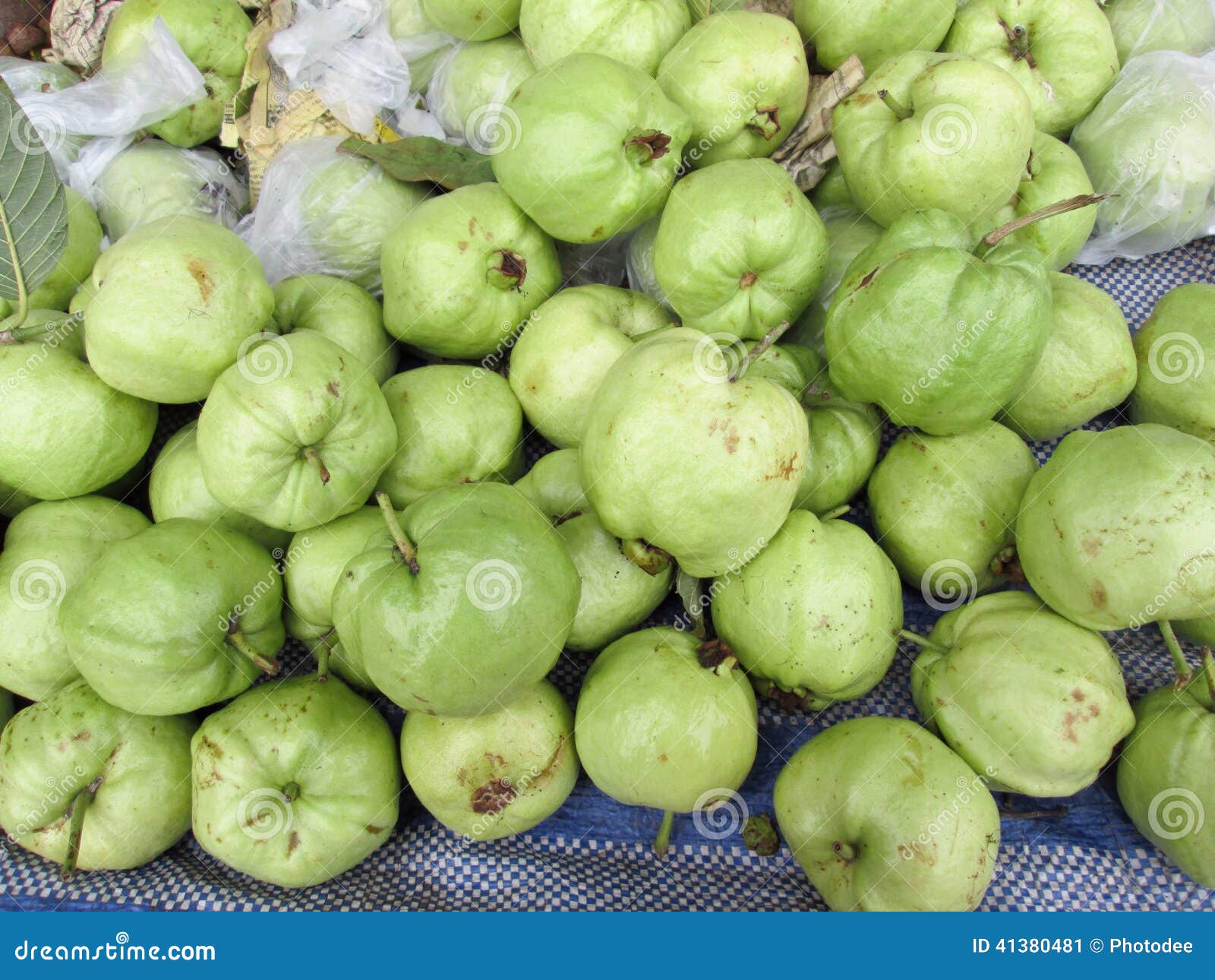 Guaiava immagine stock. Immagine di asia, tropicale, nutrienti - 41380481