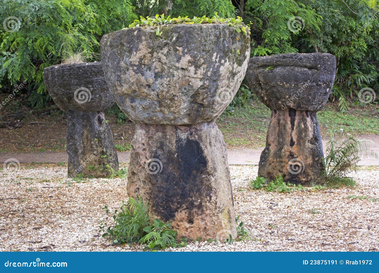 Guam Latte Stones stock image. Image of scenics, leaf - 23875191