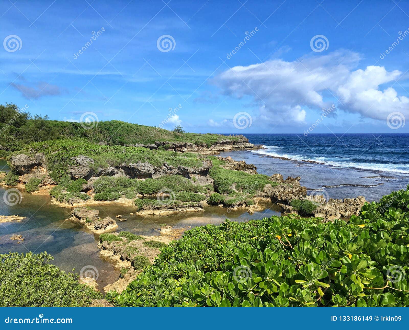 Guam nature stock image. Image of territory, america - 133186149