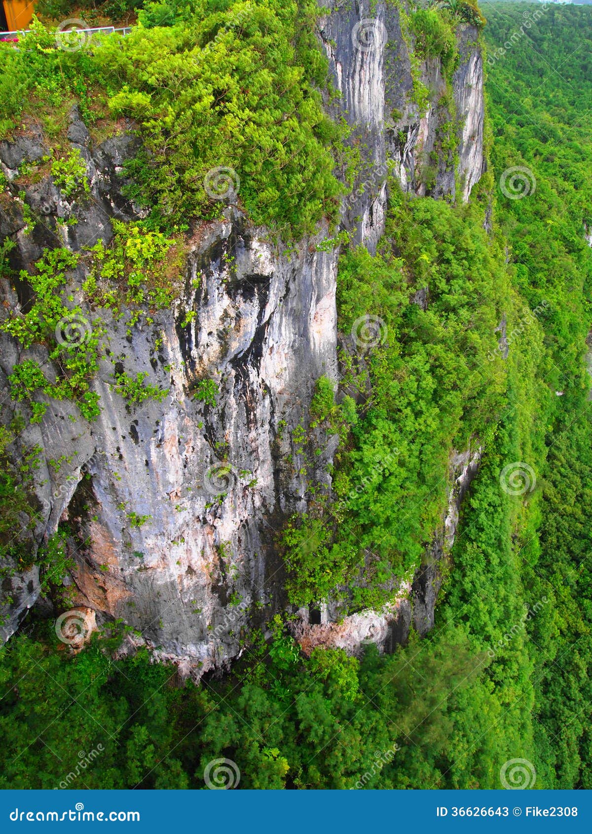 Guam stock image. Image of biome, moss, terrain, ravine - 36626643