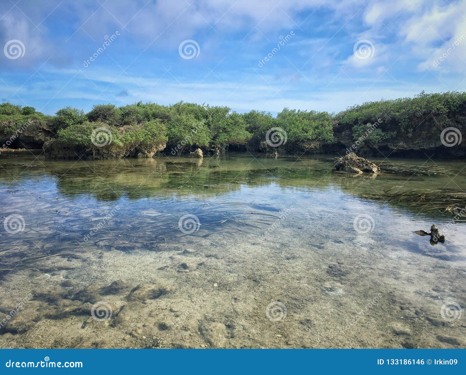 Guam quite water stock photo. Image of states, micronesia - 133186146