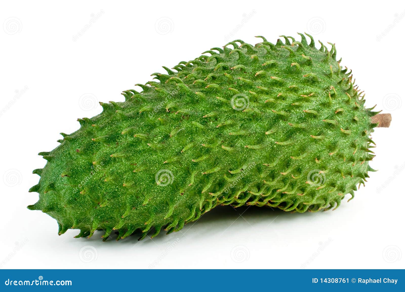 Guanábana o Guanabana