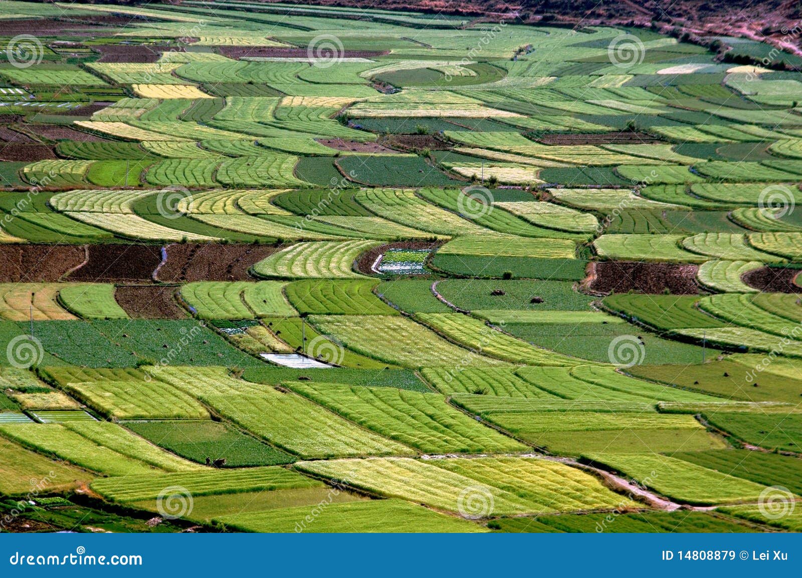 Guan Yin Xia, China: Farmland Patterns Stock Image - Image of province ...