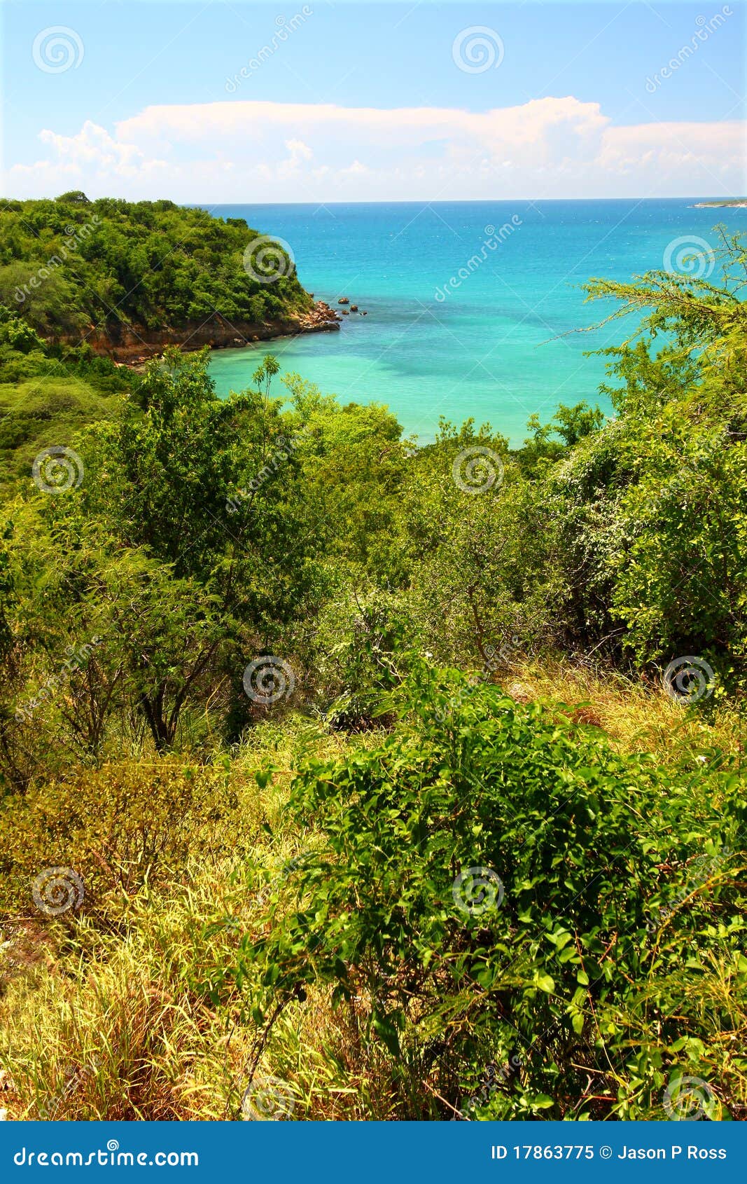 Guanica Reserve - Puerto Rico Stock Image - Image of humid, puerto ...