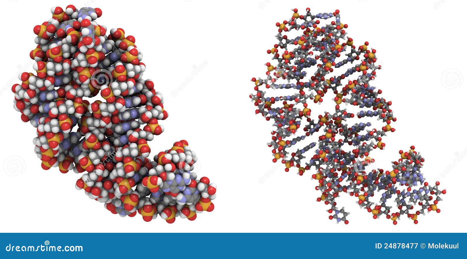 Hypoxanthine, Chemical Formula And Skeletal Structure Cartoon Vector ...