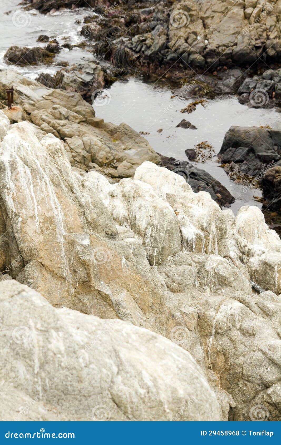 Guano stock photo. Image of island, coasts, atacama, ocean - 29458968
