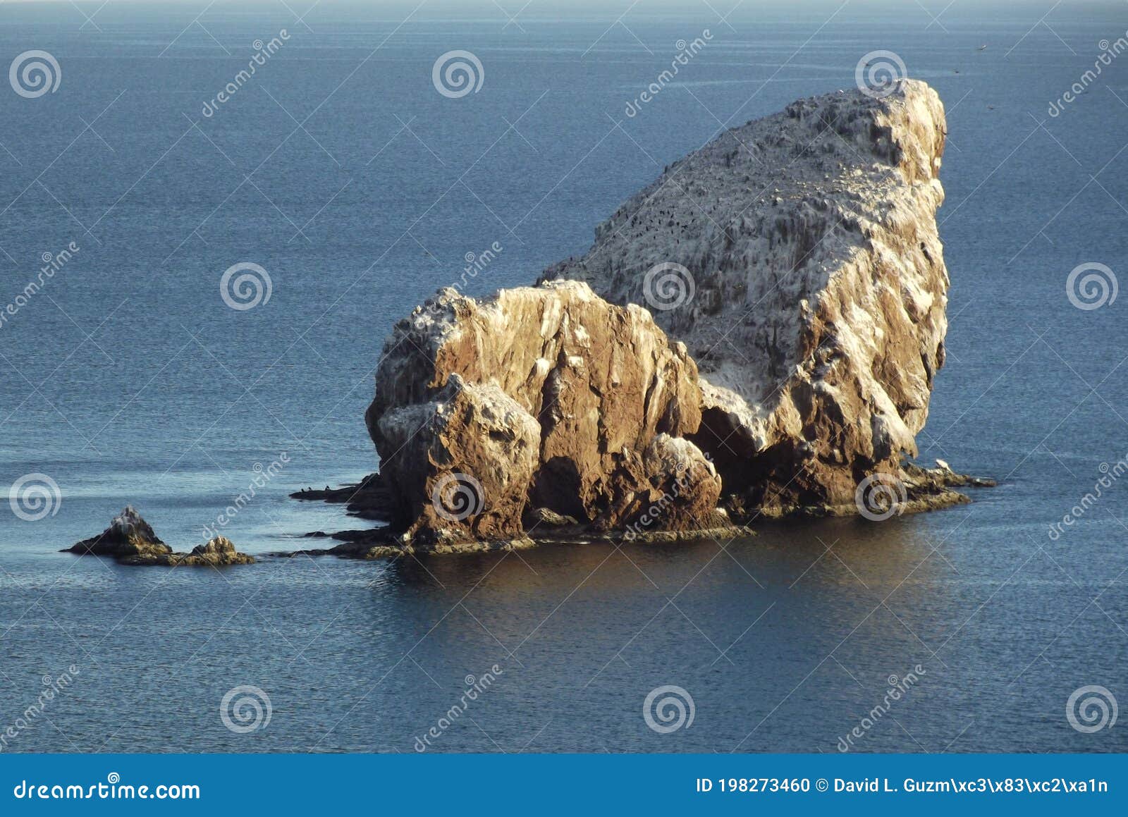 GUANO ISLAND stock photo. Image of time, looks, full - 198273460