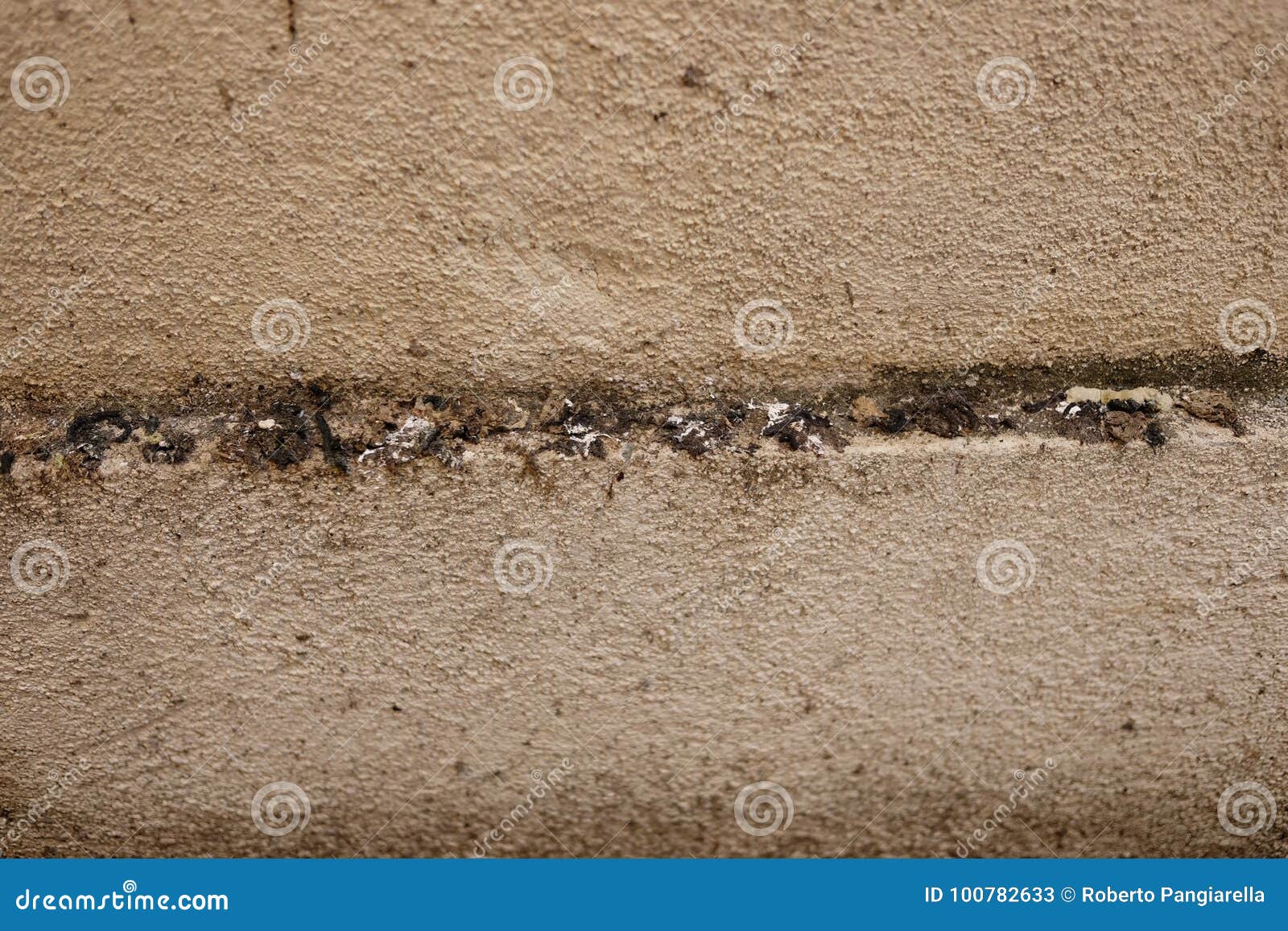 Background Of Guano Or Bird Feces Royalty-Free Stock Photography ...