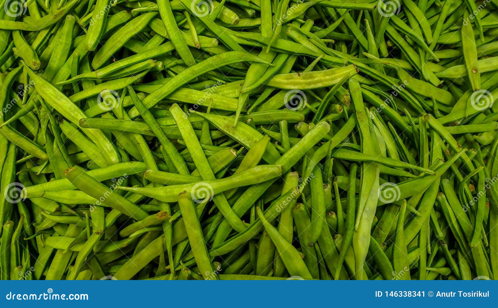 Guar Oder Gruppe Bean Also Known Als Gavar, Guwar Oder Guvar Bean ...