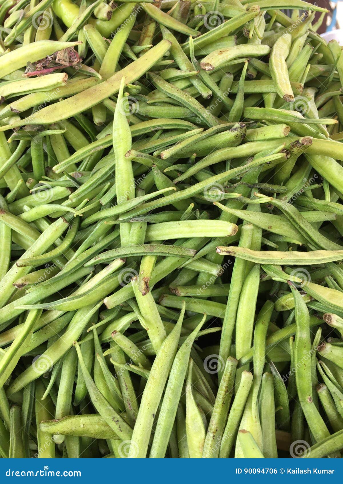 Guar pod stock photo. Image of nutritional, source, ingredient - 90094706