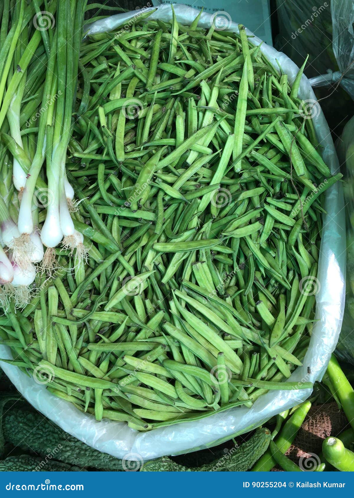 Guar pod stock photo. Image of beans, food, nutritional - 90255204