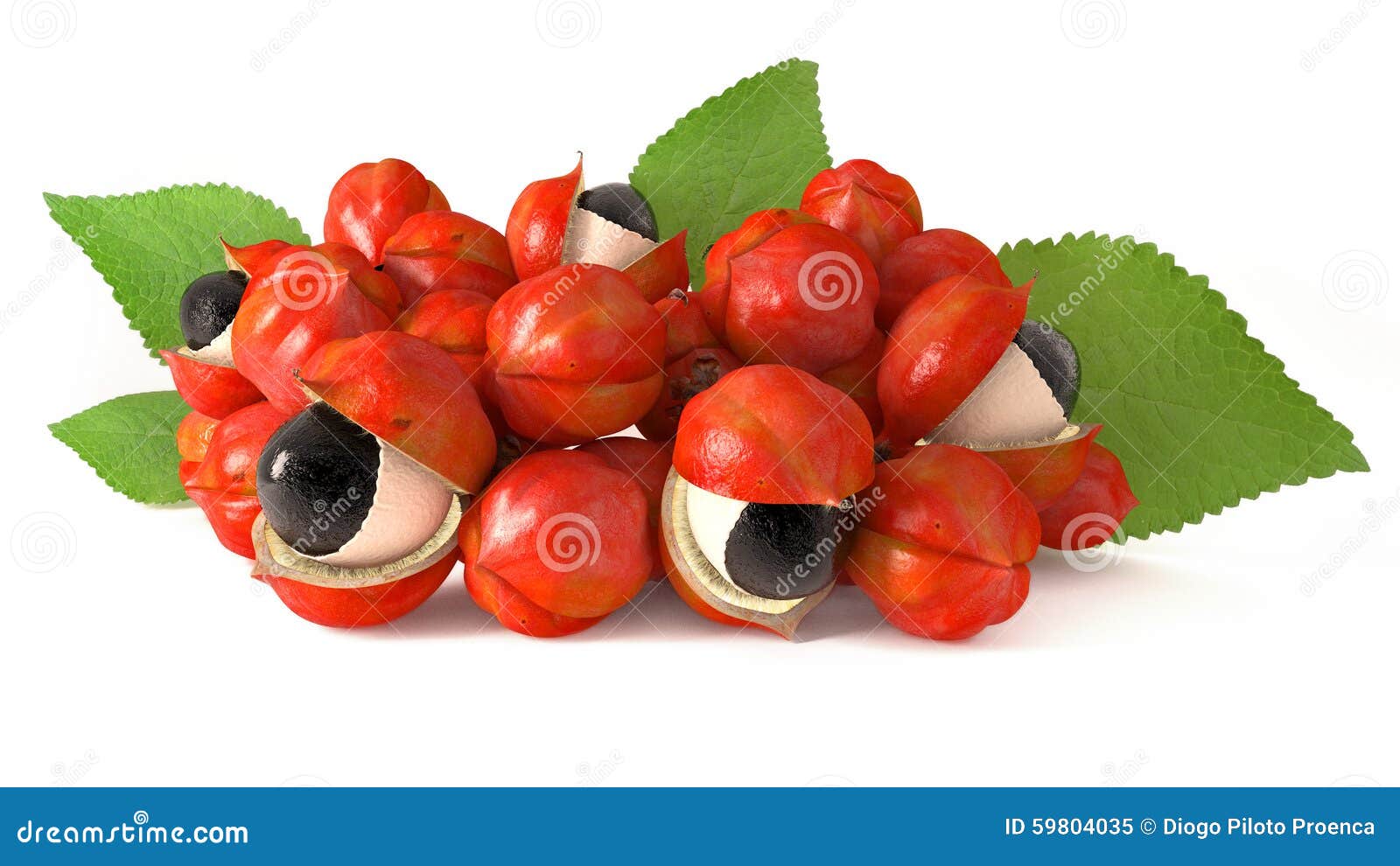 Guarana, 3d ingredient stock image. Image of white, ingredient - 59804035