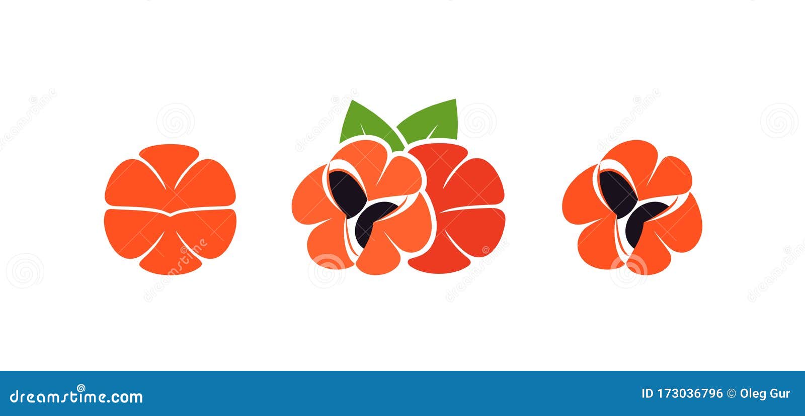 Guarana Logo. Isolated Guarana on White Background Stock Vector ...