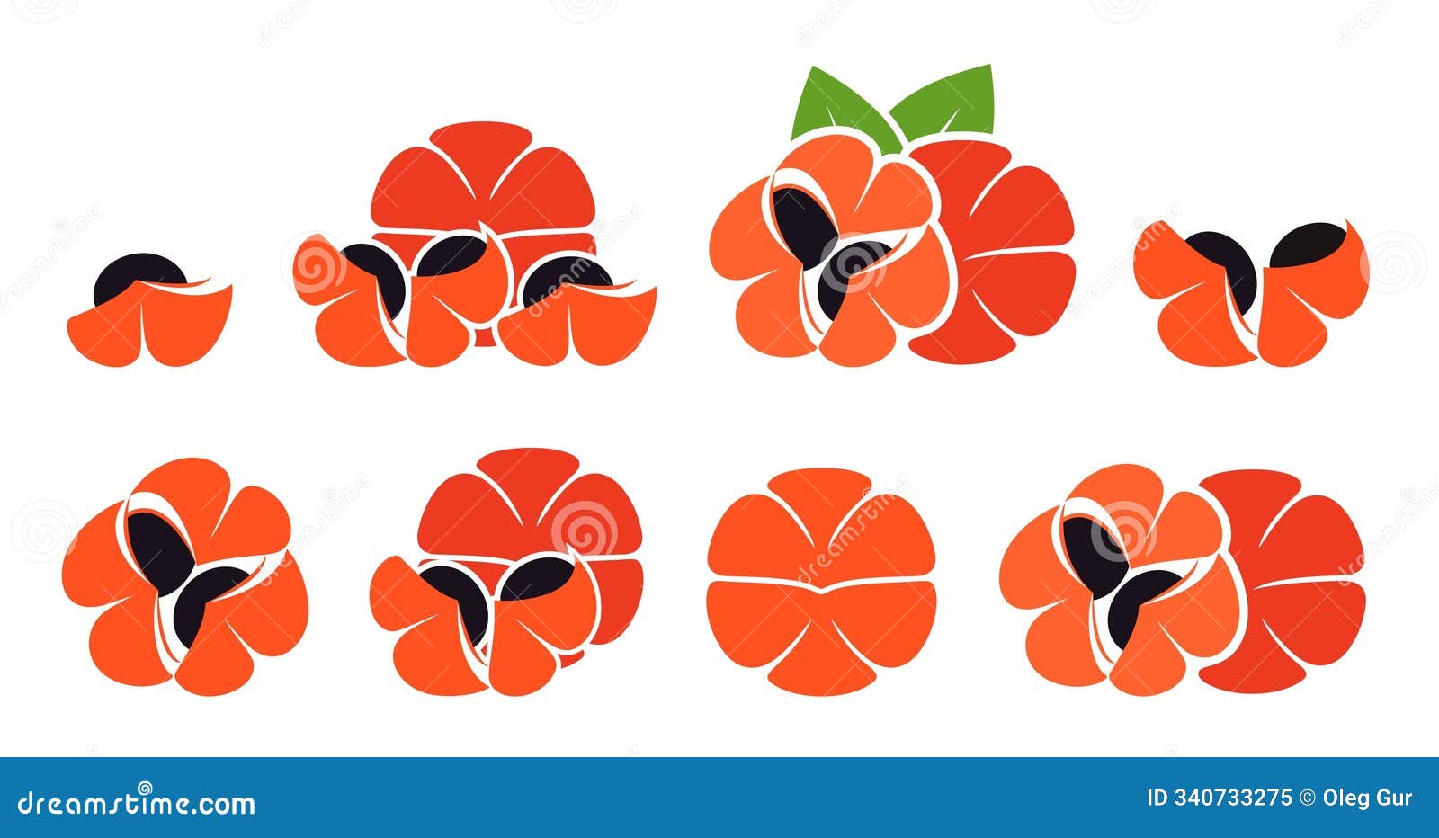 Guarana Logo. Isolated Guarana On White Background Vector Illustration ...