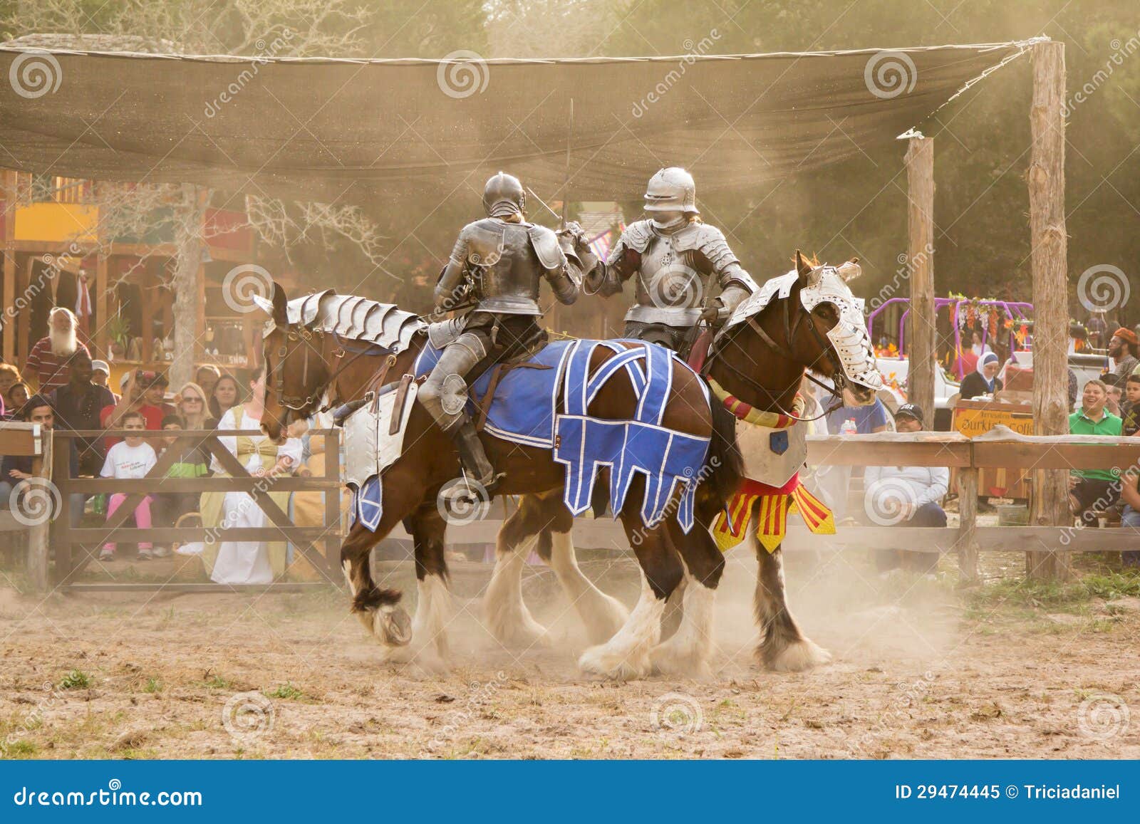 On Guard editorial image. Image of duel, medieval, blue - 29474445