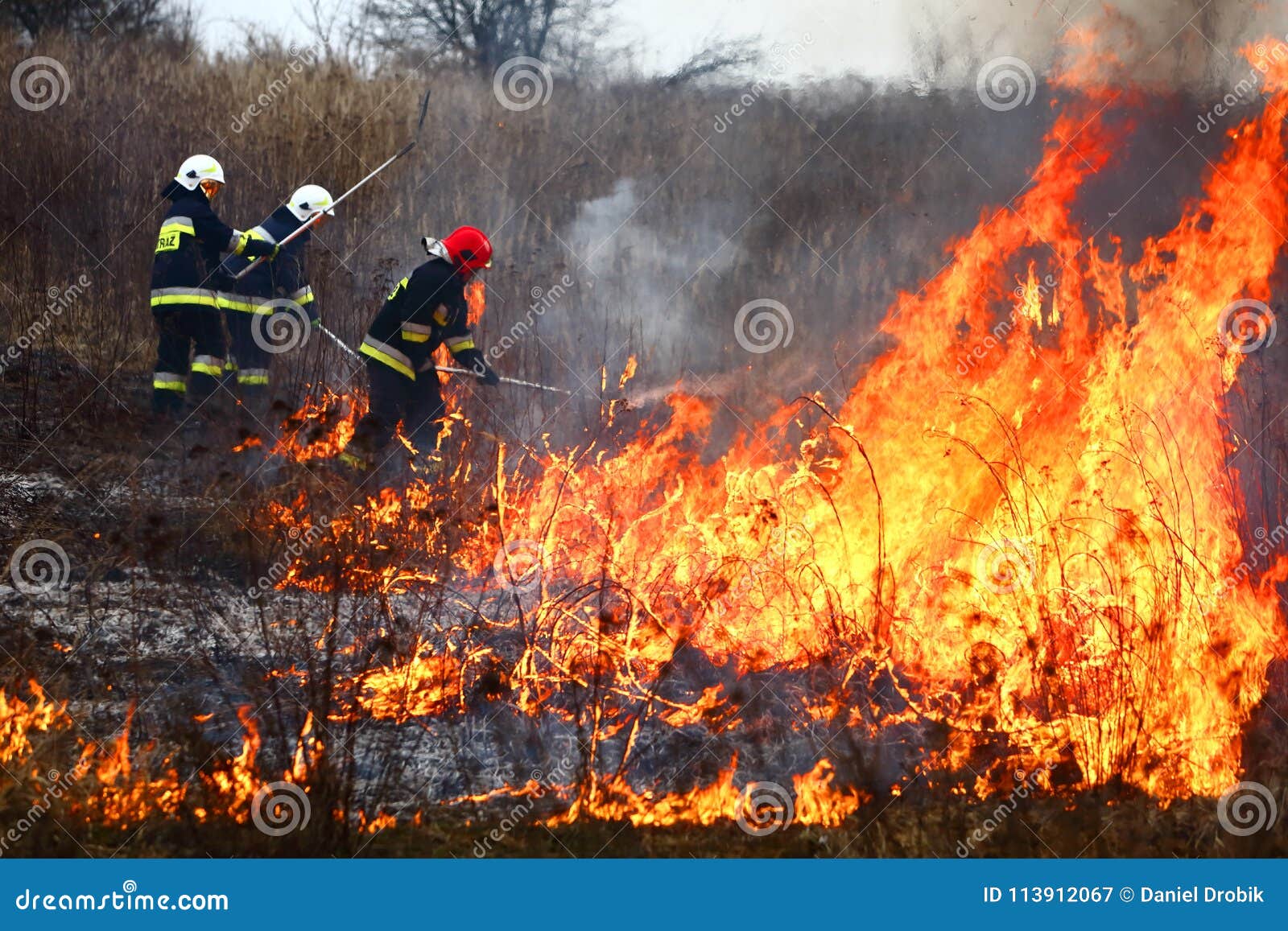 Guard during Fire Fighting on Dry Meadows. Stock Image - Image of green ...
